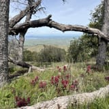 Murietta Falls Trail, California - 826 Reviews, Map | AllTrails