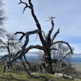 Murietta Falls Trail, California - 826 Reviews, Map | AllTrails