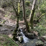 Murietta Falls Trail, California - 779 Reviews, Map | AllTrails