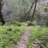 Murietta Falls Trail, California - 826 Reviews, Map | AllTrails