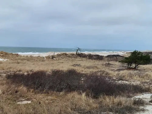 Best Hikes and Trails in Mastic Beach | AllTrails