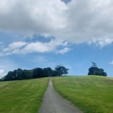 Puhinui Stream Forest Trail, Auckland, New Zealand - 551 Reviews, Map ...