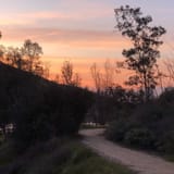 Carriage Trail, California - 1,106 Reviews, Map | AllTrails
