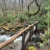 Ramsey Cascades Trail, Tennessee - 2,228 Reviews, Map | AllTrails