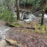 Ramsey Cascades Trail, Tennessee - 2,228 Reviews, Map | AllTrails