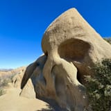 Skull Rock, California - 3,043 Reviews, Map | AllTrails