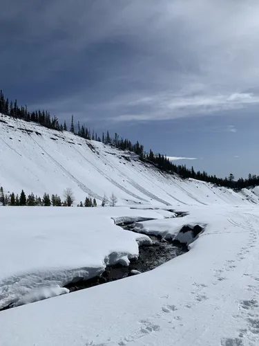 Best Historic Site Trails in Government Camp | AllTrails