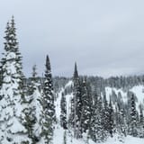 Myrtle Falls Viewpoint via Skyline Trail, Washington - 3,836 Reviews ...