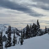 Myrtle Falls Viewpoint via Skyline Trail, Washington - 3,836 Reviews ...