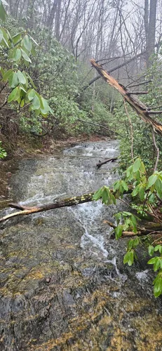 Best Waterfall Trails in Crimora | AllTrails