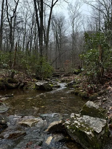 Best Waterfall Trails in Crimora | AllTrails