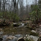 Riprap Trail , Virginia - 1,633 Reviews, Map | AllTrails