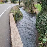 Croisan Creek Trail, Oregon - 226 Reviews, Map | AllTrails