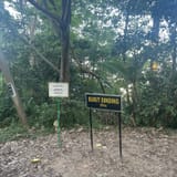 Bukit Dinding Climb - Am Trails, Kuala Lumpur, Malaysia - 254 Reviews ...