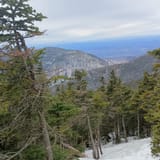 Little Haystack via Falling Waters Trail, New Hampshire - 1,713 Reviews ...