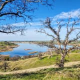 Hensley Lake Day Use Areas Trail, California - 412 Reviews, Map | AllTrails