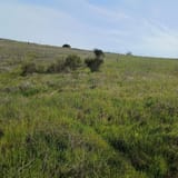 Grasslands Loop Trail, California - 1,644 Reviews, Map | AllTrails