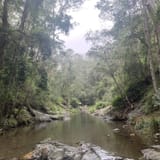 Northbrook Gorge, Queensland, Australia - 200 Reviews, Map | AllTrails