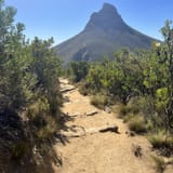 Kloof Corner, Western Cape, South Africa - 232 Reviews, Map | AllTrails