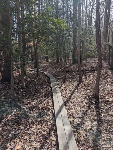 Best Walking Trails in Mayo | AllTrails