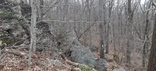 Best Long Trails in Meshomasic State Forest | AllTrails