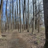 Nottoway Park Outer Loop and Fitness Trail, Virginia - 437 Reviews, Map ...