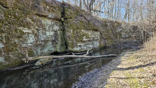 Best Hikes and Trails in Oakdale Nature Preserve | AllTrails