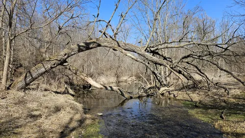 Best Hikes and Trails in Oakdale Nature Preserve | AllTrails
