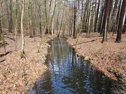 Best Hikes and Trails in Mine Falls Park | AllTrails