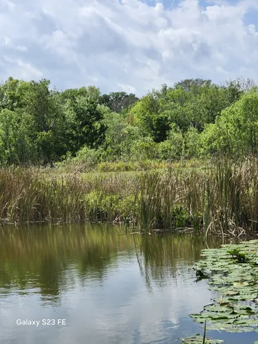 Best Hikes and Trails in Emeralda Marsh Conservation Area | AllTrails