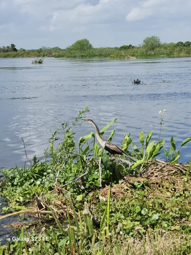 Best Hikes and Trails in Emeralda Marsh Conservation Area | AllTrails