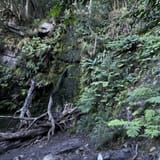 Cecilia Waterfall via Cecilia Forest, Western Cape, South Africa ...
