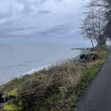 Port Angeles Waterfront, Washington - 276 Reviews, Map | AllTrails