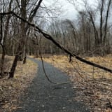 Peebles Island Perimeter Trail, New York - 2,061 Reviews, Map | AllTrails