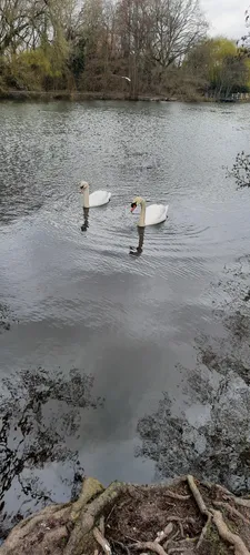 Best Hikes and Trails in Elmdon Park | AllTrails