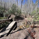 Long Branch Loop Trail, Georgia - 2,158 Reviews, Map | AllTrails