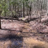 Long Branch Loop Trail, Georgia - 2,158 Reviews, Map | AllTrails