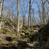 Panther Den Loop, Illinois - 946 Reviews, Map | AllTrails