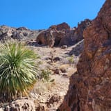 Aztec Cave Trail, Texas - 1,617 Reviews, Map | AllTrails
