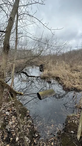 Best Short Trails in Waterloo State Recreation Area | AllTrails