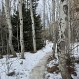 Turtle Rock Loop Trail, Wyoming - 1,078 Reviews, Map | AllTrails