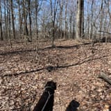 Iron Ore Hill Loop Trail, Kentucky - 431 Reviews, Map | AllTrails