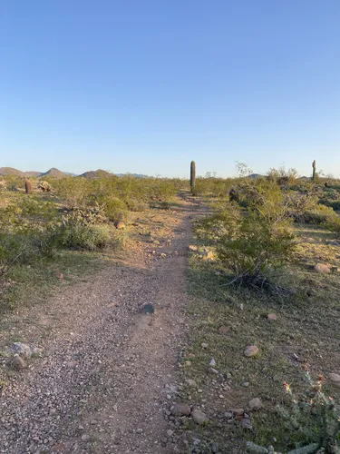 Best Backpacking Trails in Black Canyon City | AllTrails