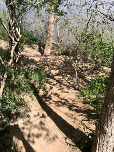 Best Kid Friendly Trails in Stephen F. Austin State Park | AllTrails