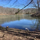 Three Lakes Trail, Indiana - 1,631 Reviews, Map | AllTrails