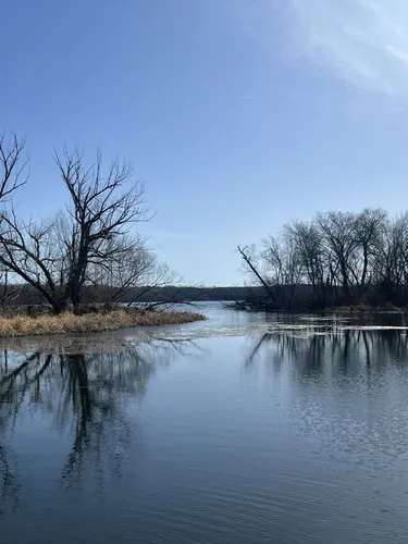 Best Hikes And Trails In Lake Rebecca Park Reserve Alltrails
