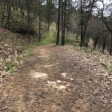 Robie Point Firebreak Trail, California - 1,059 Reviews, Map | AllTrails
