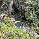 Murietta Falls Trail, California - 826 Reviews, Map | AllTrails