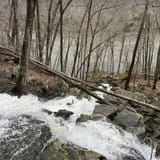 Zoar Trail, Connecticut - 2,148 Reviews, Map | AllTrails