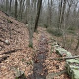 Zoar Trail, Connecticut - 2,152 Reviews, Map | AllTrails